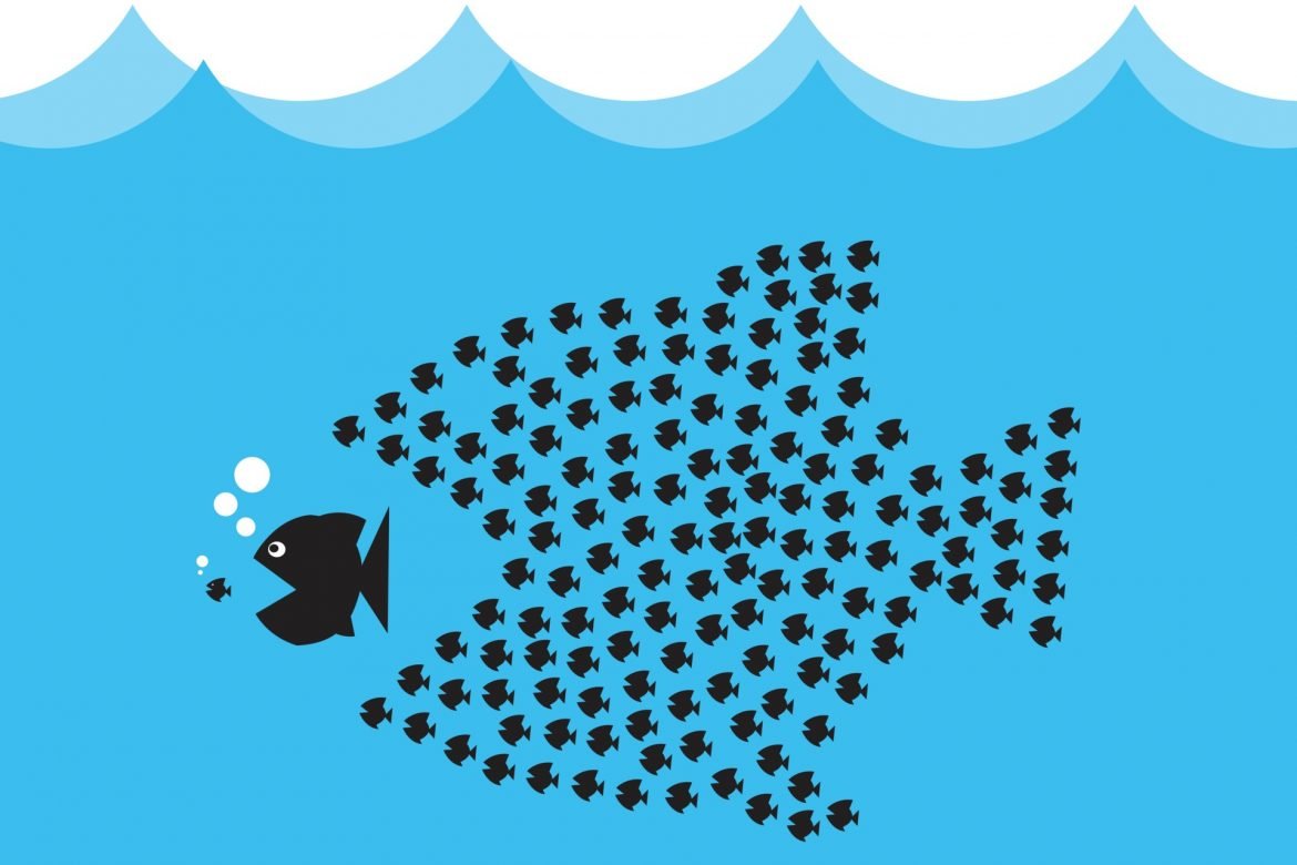 Home - Mellalta Meets